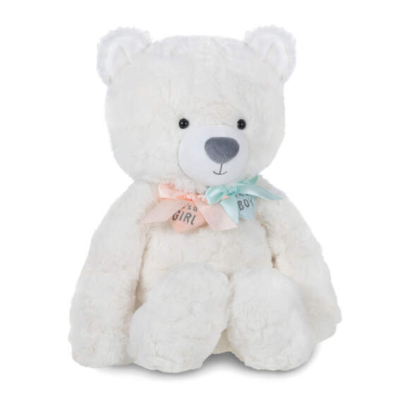 Gender Reveal Teddy Bear Plush With Ribbons – Hallmark Timmins
